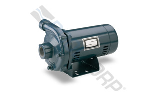POOL360 | Sta-Rite J/JB Series High Head Centrifugal Pump 2 1/2 HP 115/230V