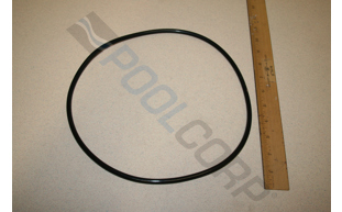 POOL360 | Seal Plate O-Ring for Max-E-Pro Pumps
