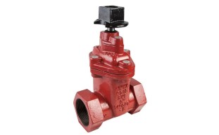 POOL360 | 4" Ductile Iron Threaded NRS Gate Valve
