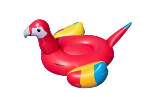 POOL360 | Giant Parrot Ride-On Float 93" x 45"