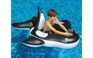 POOL360 | Orca Squirter™ Ride-On Float 60" x 52" x 24"