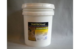 POOL360 | 5 gal Natural Finish Joint Hardener For Paver Sand & Paver Sealer