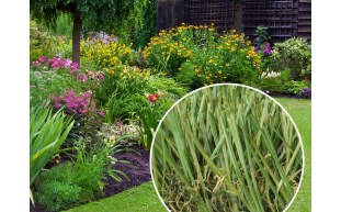 POOL360 | TurfGro Cool Blue Hollow Olive Blade Synthetic Turf