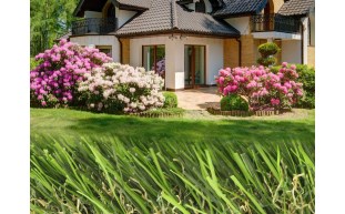 POOL360 | 1.75" Blade Cool Blue Hollow Lime Synthetic Turf