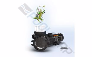 POOL360 | Forza 150 Above Ground Pump 1.5HP 115V