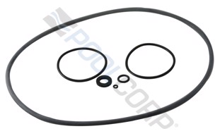 POOL360 | O-Ring Set for CS100/150/200/250 Filters