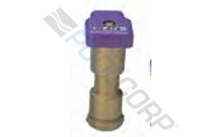 POOL360 | 1" 1-Piece Single Lug Quick Coupler Valve with Vinyl Locking Cover