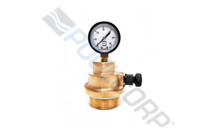 POOL360 | Manual Air Relief Assembly