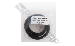 POOL360 | 25/BG 2" STA-RITE BW VLV PISTON ORING SET