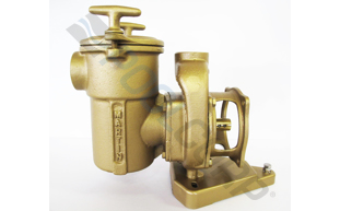 POOL360 | 1.5HP MARTIN 100 BRONZE LIQUID END