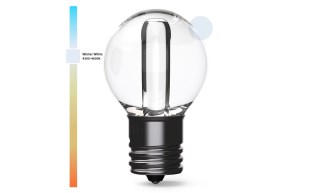 POOL360 | 1" Winter White G30 (E12) Transparent SMD LED