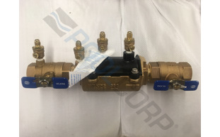 POOL360 | 1" 350 Double Check Backflow