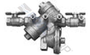 POOL360 | 2" Reduced Pressure Principle Backflow Preventer