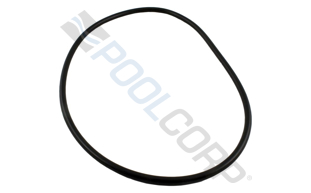 POOL360 | O-Ring Lid for ProClean Cartridge Filter