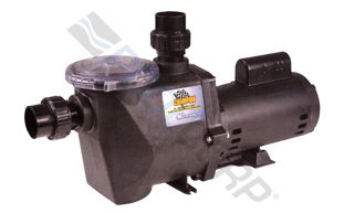POOL360 | 2-Speed Champion Standard Efficiency Max Rated 56-Frame IG Pool Pump 2 HP 230V