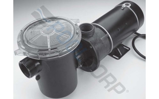 POOL360 | 2 Speed Center Discharge Above Ground Pool Pump with 3' NEMA ...