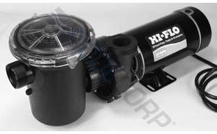 POOL360 | 2 Speed Hi-Flo II Vertical Discharge 48-Frame Pump with 3 ...