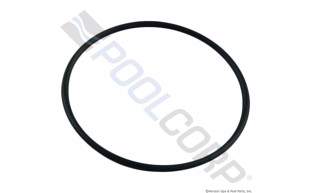 POOL360 | Large Sub Assembly O-Ring